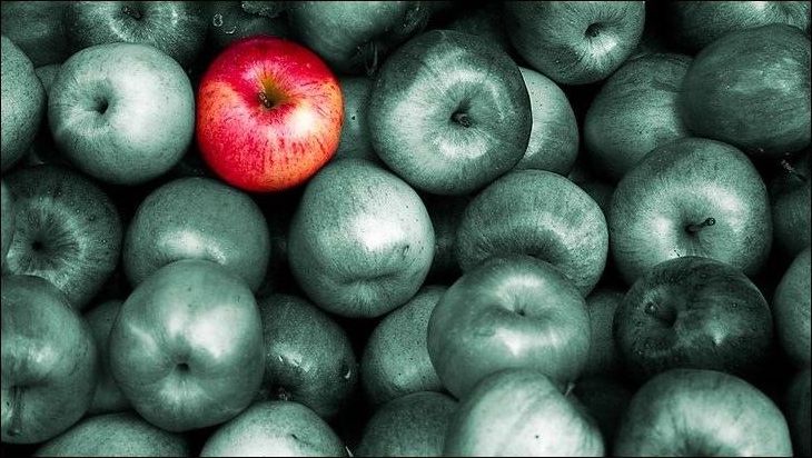 Differential gene expression – DIY.transcriptomics