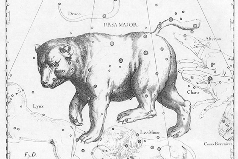 Ultra-fast read mapping with Kallisto – DIY.transcriptomics