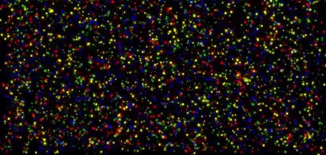 Intro to RNAseq technology and data – DIY.transcriptomics