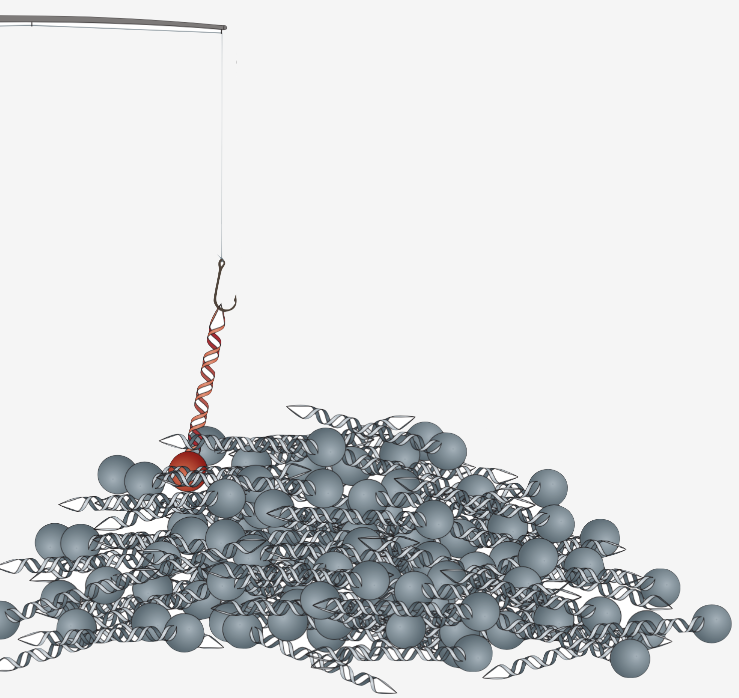 Dumpster diving in RNA-seq data – DIY.transcriptomics
